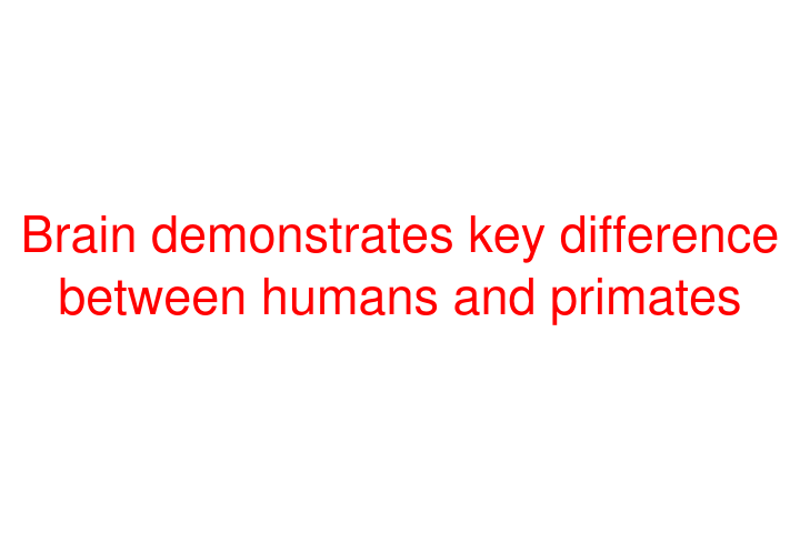 Brain demonstrates key difference between humans and primates - Social ...